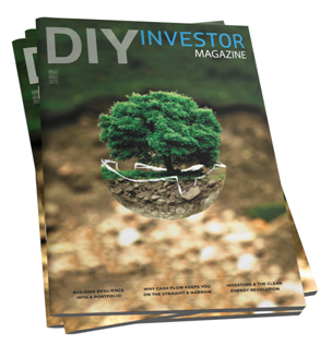 DIY Investor - The Do-It-Yourself Investing Blog