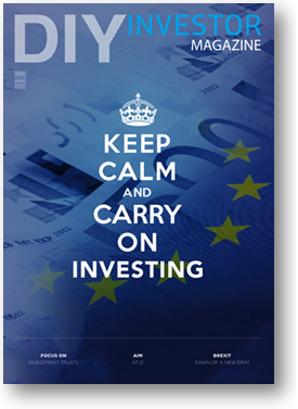 DIY Investor - The Do-It-Yourself Investing Blog