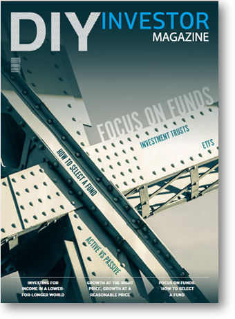 DIY Investor - The Do-It-Yourself Investing Blog