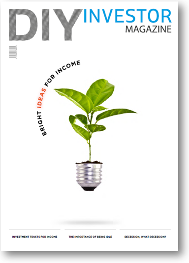 DIY Investor - The Do-It-Yourself Investing Blog