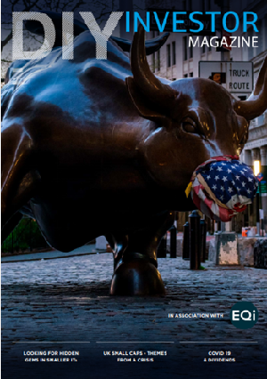 DIY Investor - The Do-It-Yourself Investing Blog