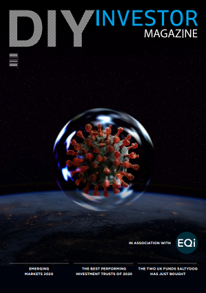 DIY Investor - The Do-It-Yourself Investing Blog