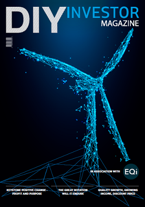 DIY Investor - The Do-It-Yourself Investing Blog