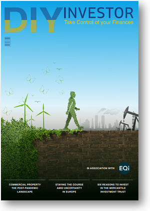 DIY Investor - The Do-It-Yourself Investing Blog