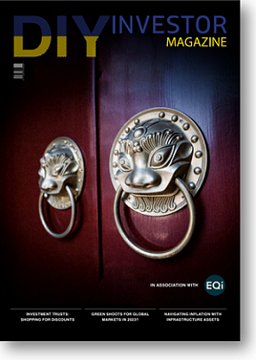 DIY Investor - The Do-It-Yourself Investing Blog