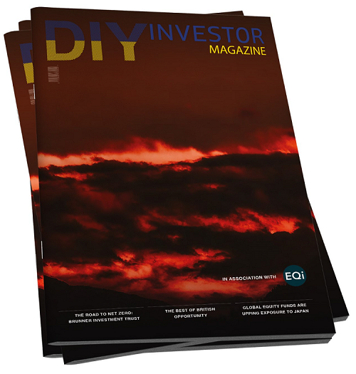 DIY Investor - The Do-It-Yourself Investing Blog