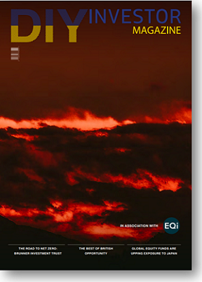 DIY Investor - The Do-It-Yourself Investing Blog