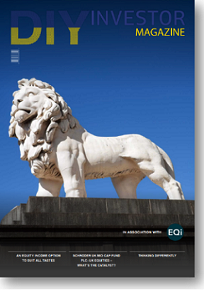 DIY Investor - The Do-It-Yourself Investing Blog