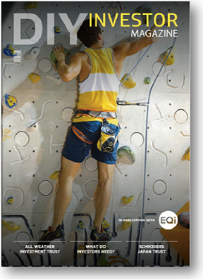 DIY Investor - The Do-It-Yourself Investing Blog